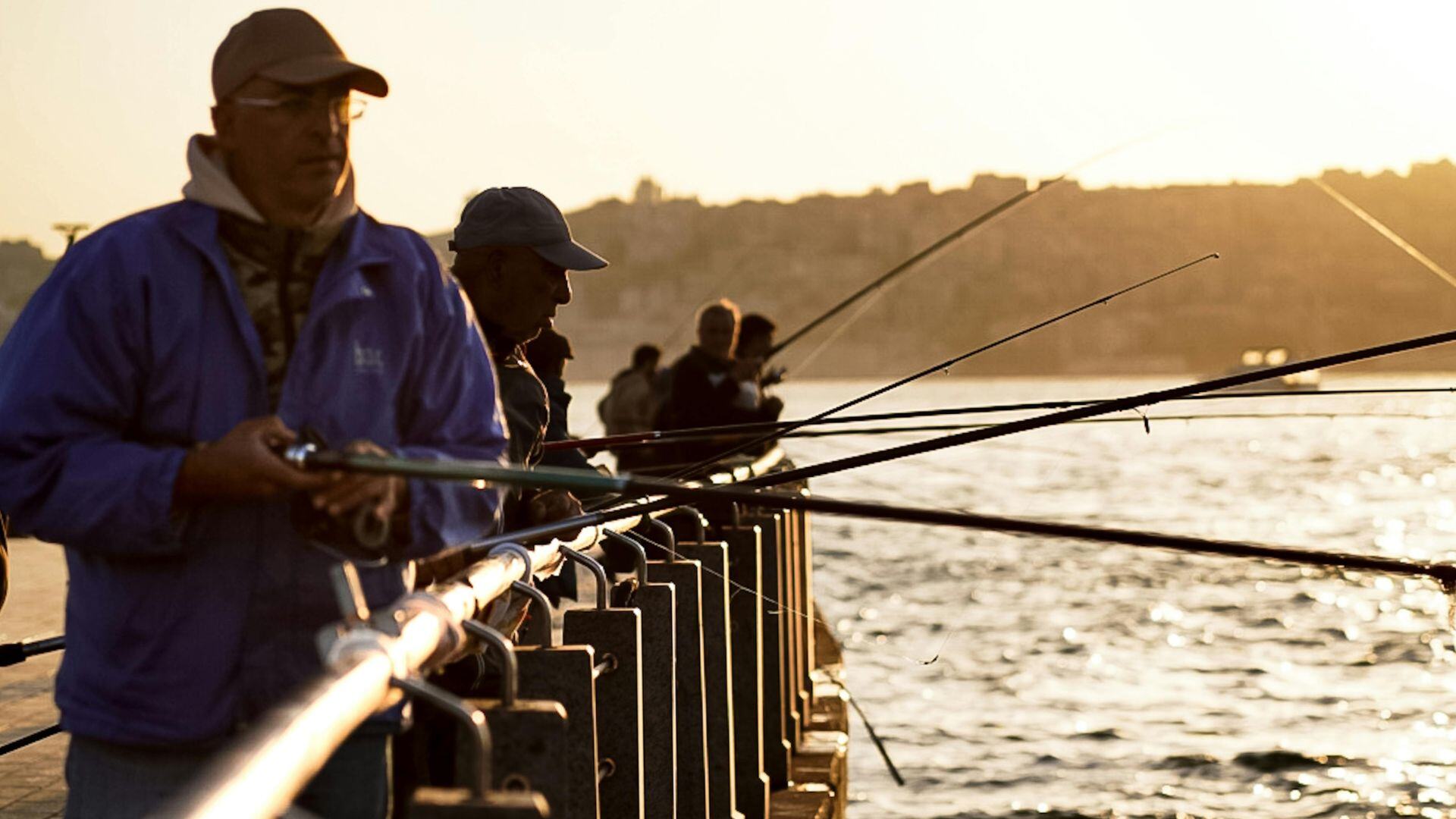 What You Need to Know About Fishing Rod Holders